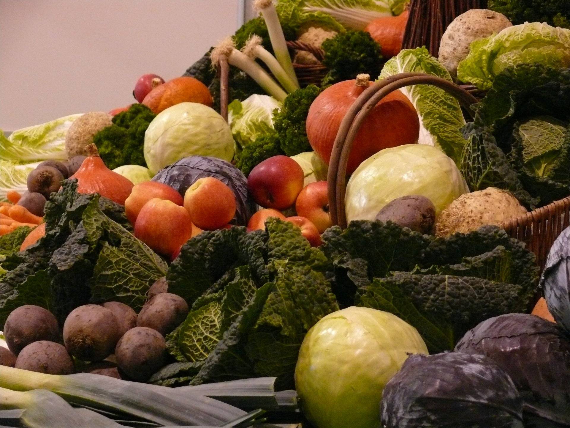 Aktuelles